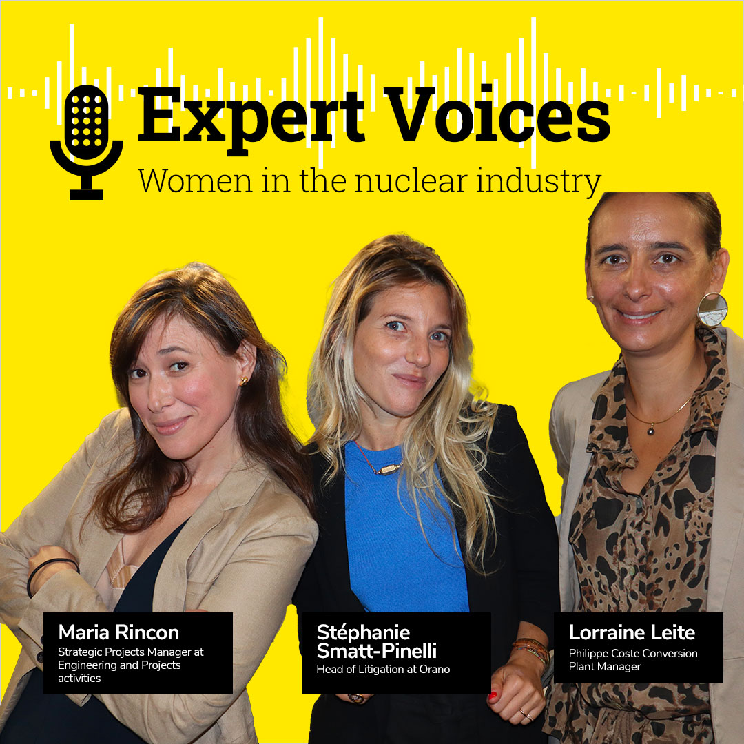 Women in Nuclear Industry